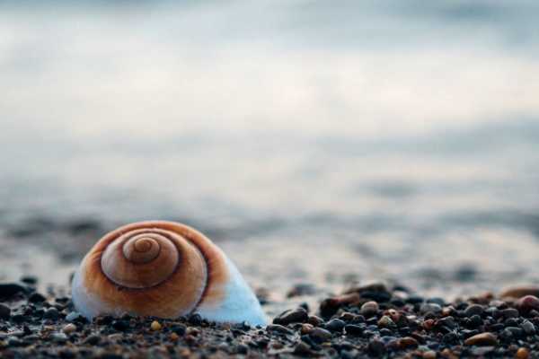 Sacred Spirals in Spirituality the Spiritual Meaning of The Spiral Symbol