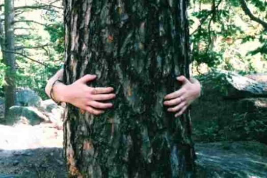 The Importance of Energy Grounding Rituals for Self-Development