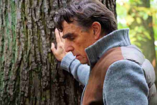 The Benefits of Tree Grounding Exercises and Tree Grounding Techniques