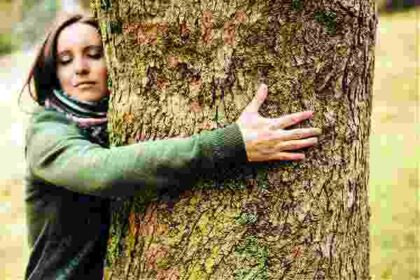 The Benefits of Tree Grounding Exercises and Tree Grounding Techniques